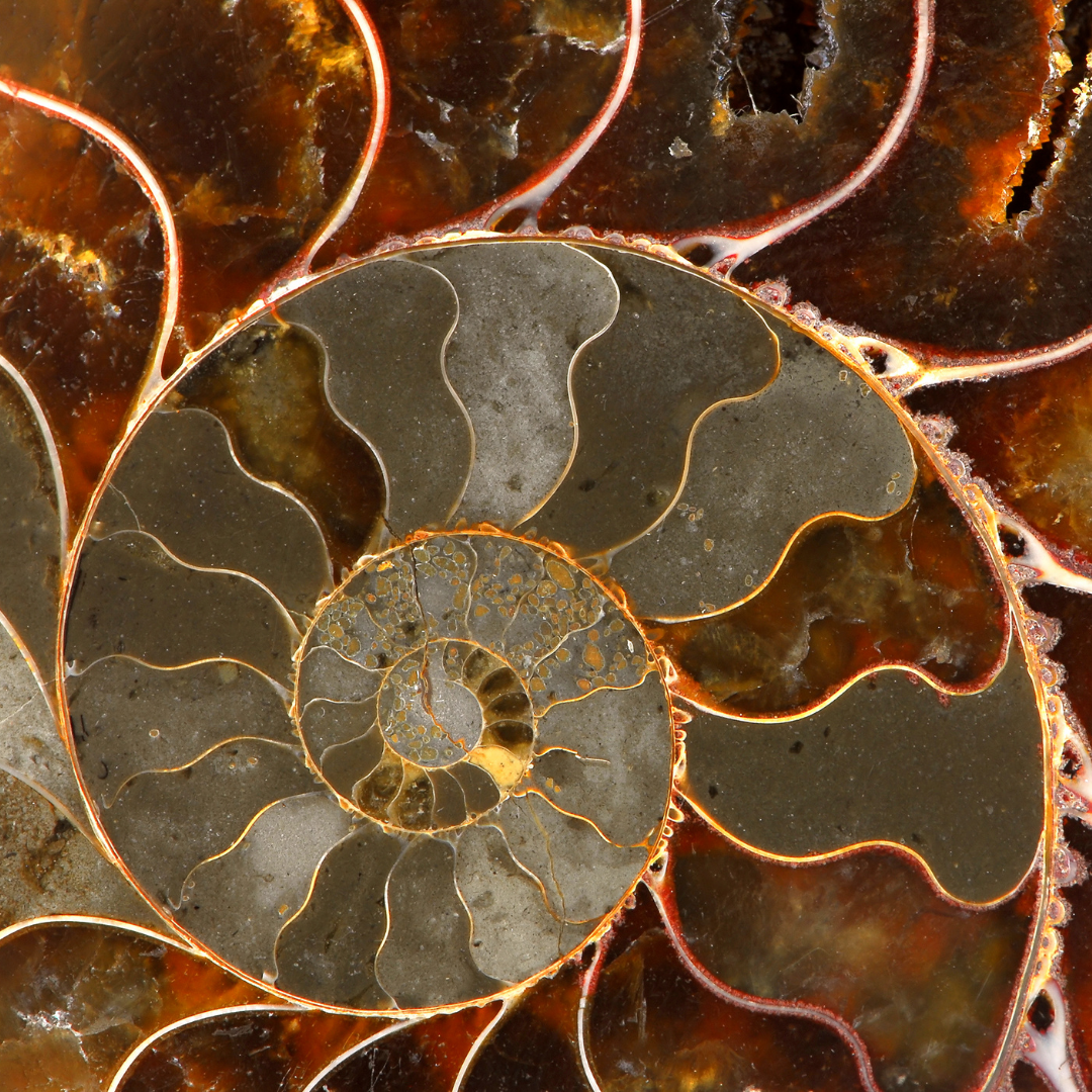 Jadarite: A Unique Mineral with Incredible Potential for Innovation ...