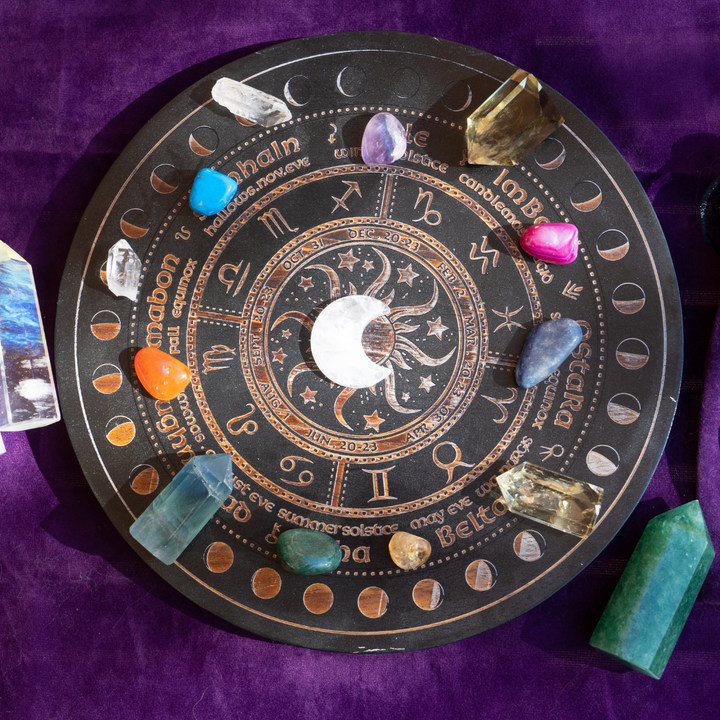 Types of Shells Used in Jewelry: A Comprehensive Guide – Fierce Lynx ...