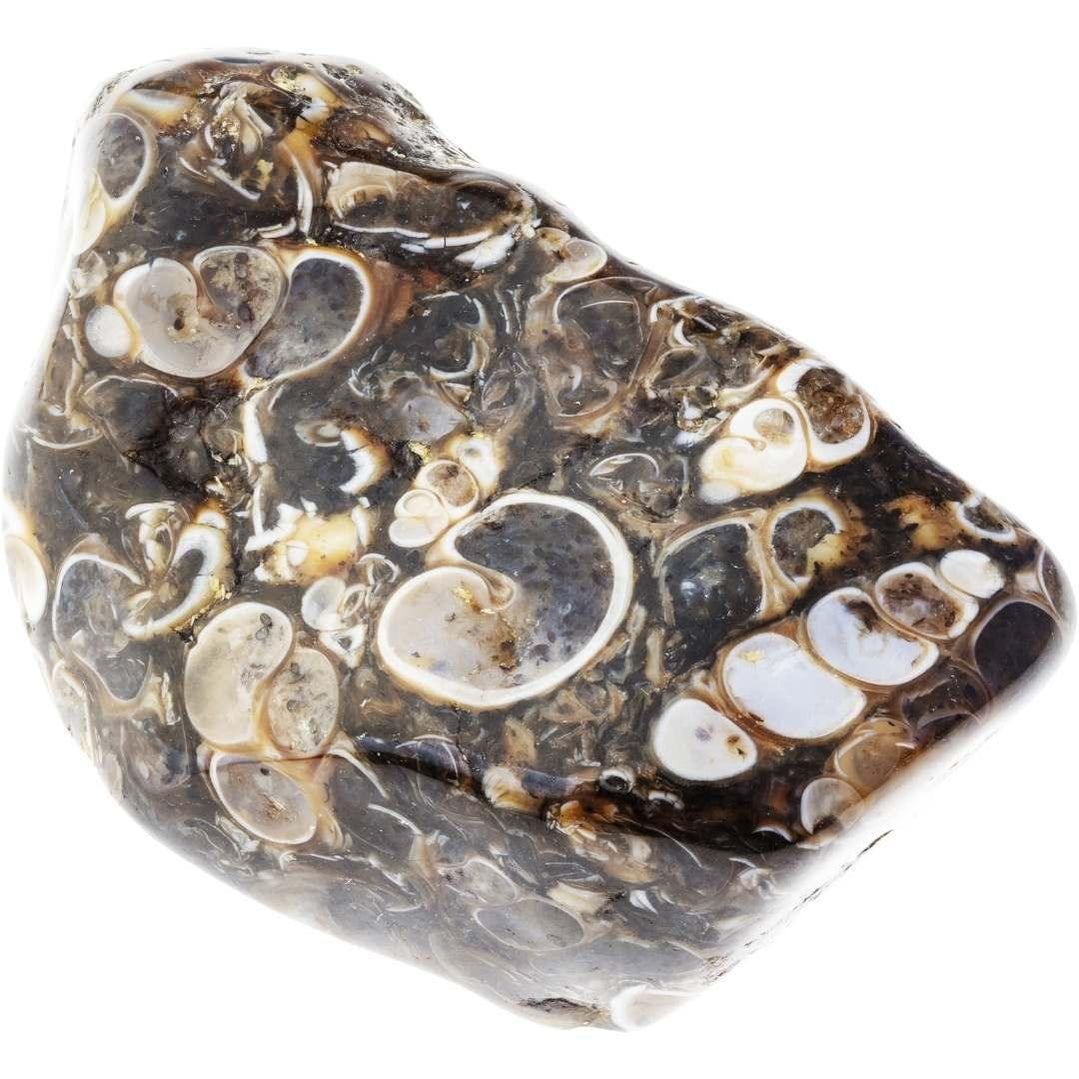 Shop by Stone — Fierce Lynx Designs